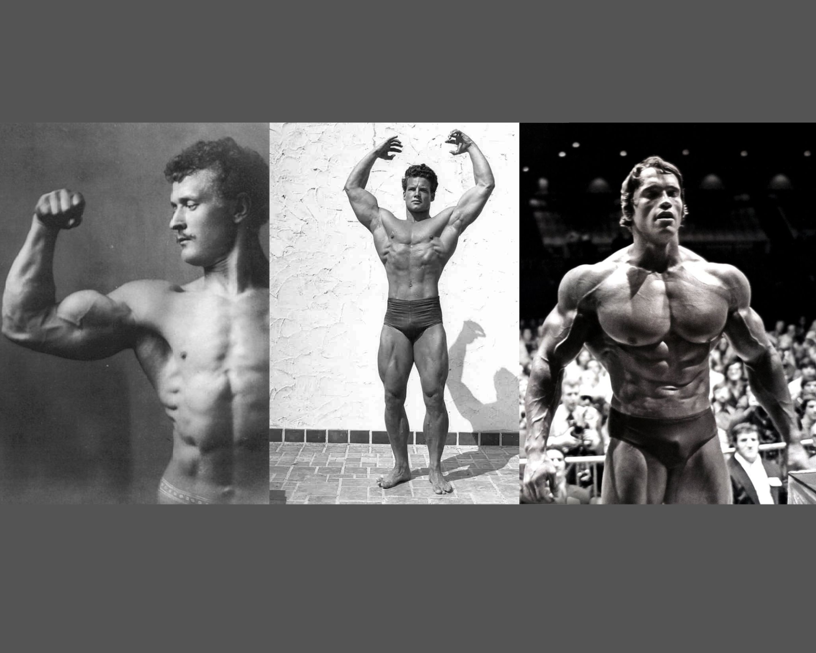 3 Most Influential Bodybuilders: Sandow, Reeves & Schwarzenegger | The ...